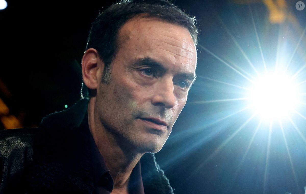 Photo : Anthony Delon a fait une révélation sur Douchy Anthony Delon ...