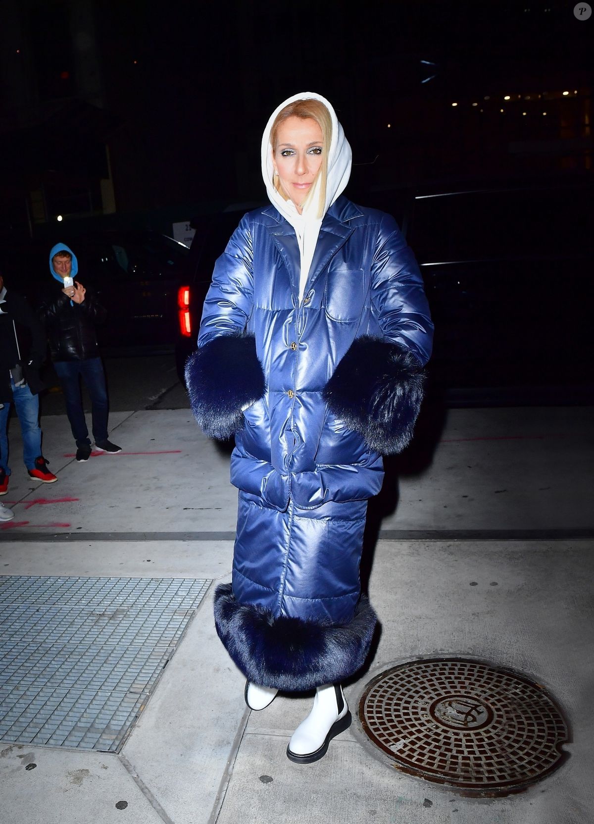 Photo : Céline Dion brave le froid de New York avec une maxi doudoune ...