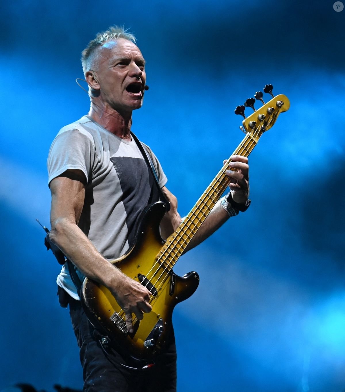 Photo : Sting en concert à Radio 2 in The Park, à Moor Park, à Preston ...