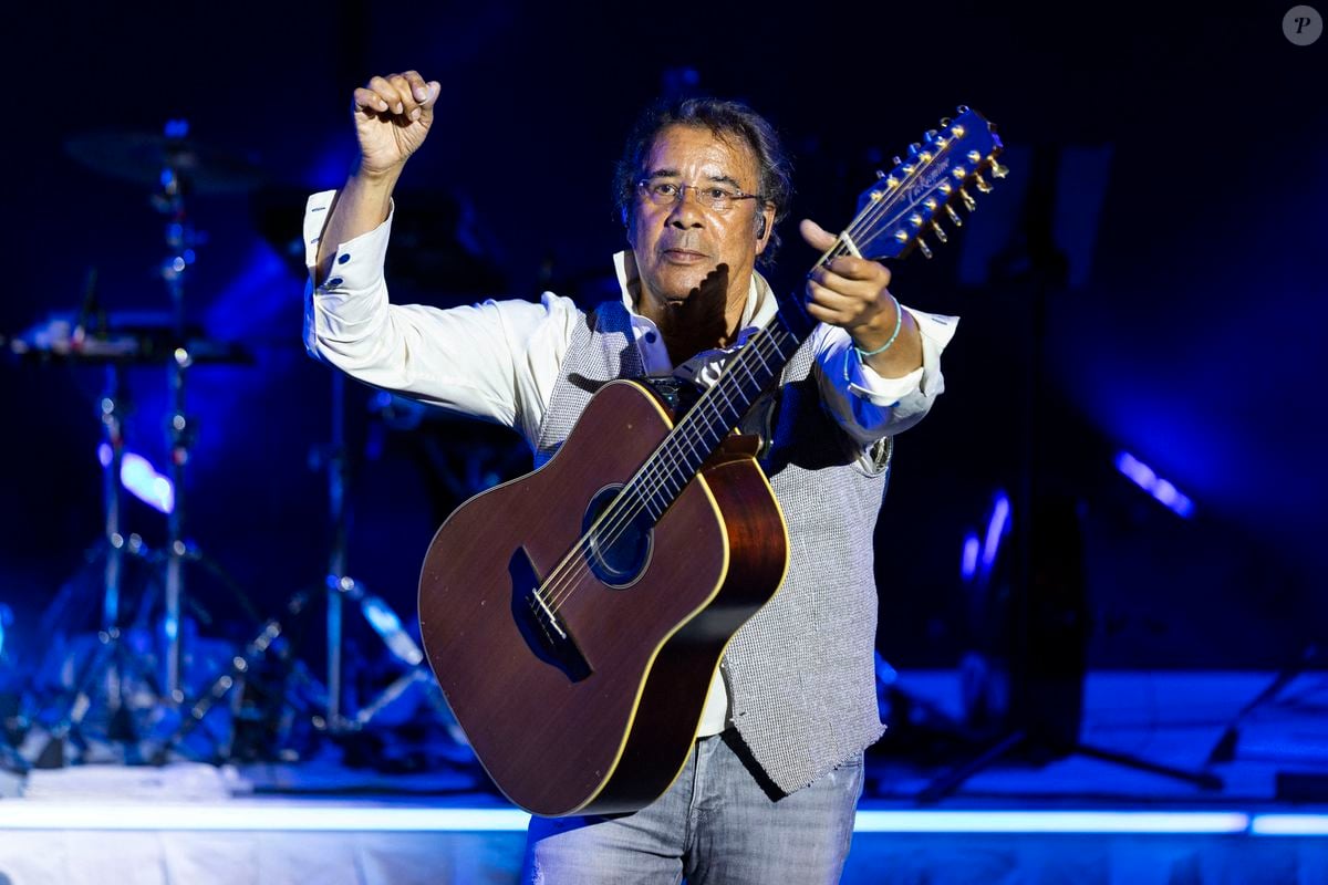 Photo : Laurent Voulzy - Laurent Voulzy en concert sur la scène du ...