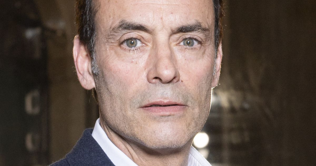 Un dimanche en bonne compagnie à Douchy : Anthony Delon roi des ...