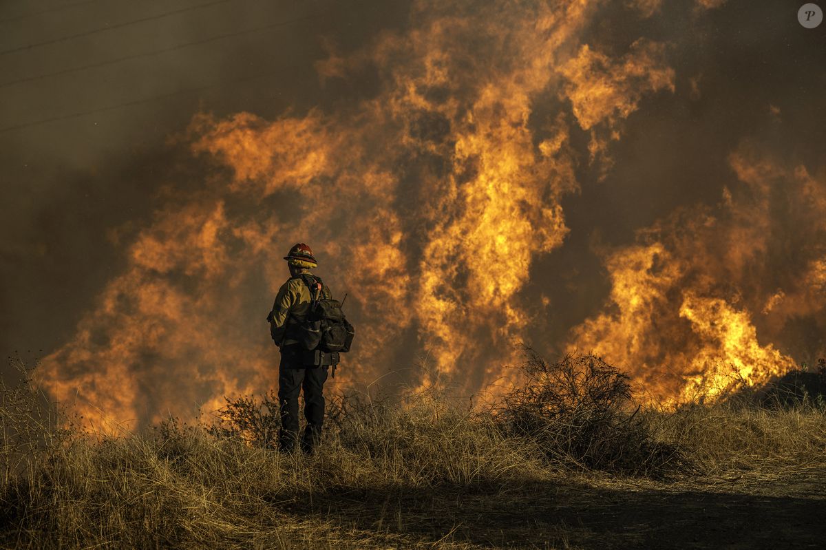 Photo : Incendies 2025 en Californie à Pacific Palisades, le 11 ...