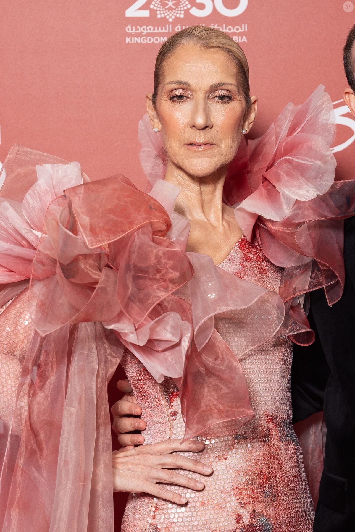 Photo : Celine Dion au photocall du défilé anniversaire Elie Saab "1001 ...
