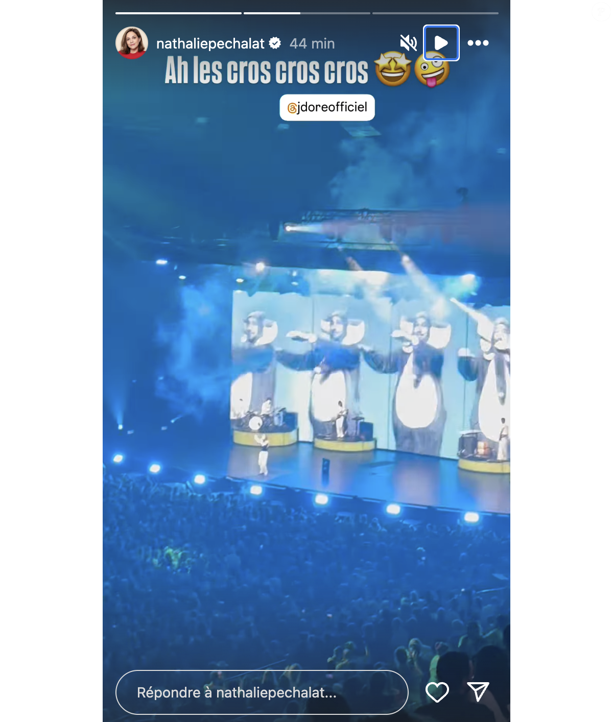 Photo : La maman d'Alice et Jeanne a assisté au concert de Julien Doré ...