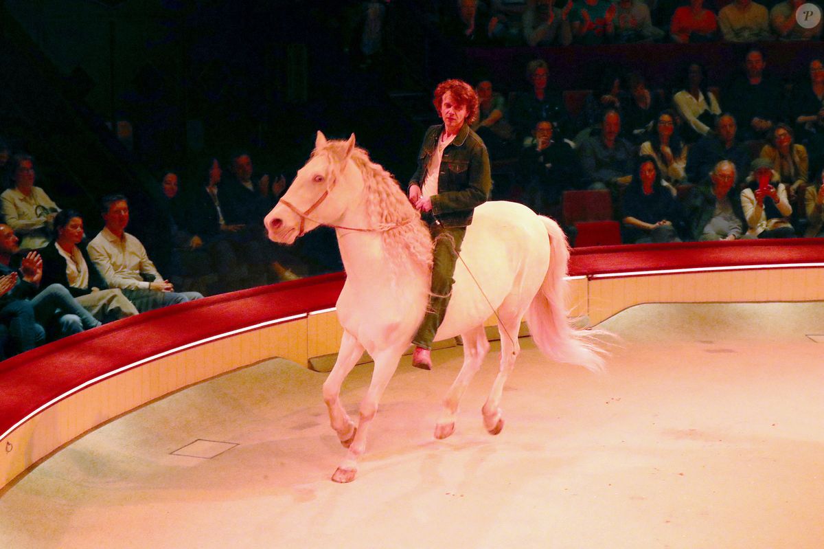 Photo : Exclusif - Alex Lutz et son cheval Mimo lors de la Première ...