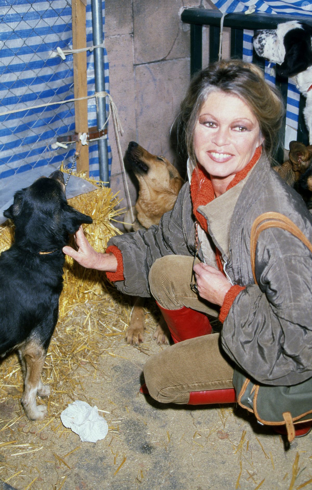 Photo : L'actrice Brigitte Bardot lors d'un événement public. Photo par ...