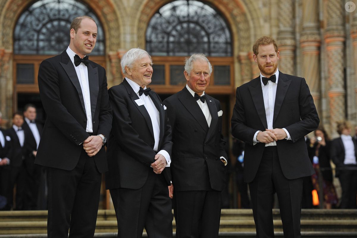 Photo : Le prince William, duc de Cambridge, Sir David Attenborough, le ...