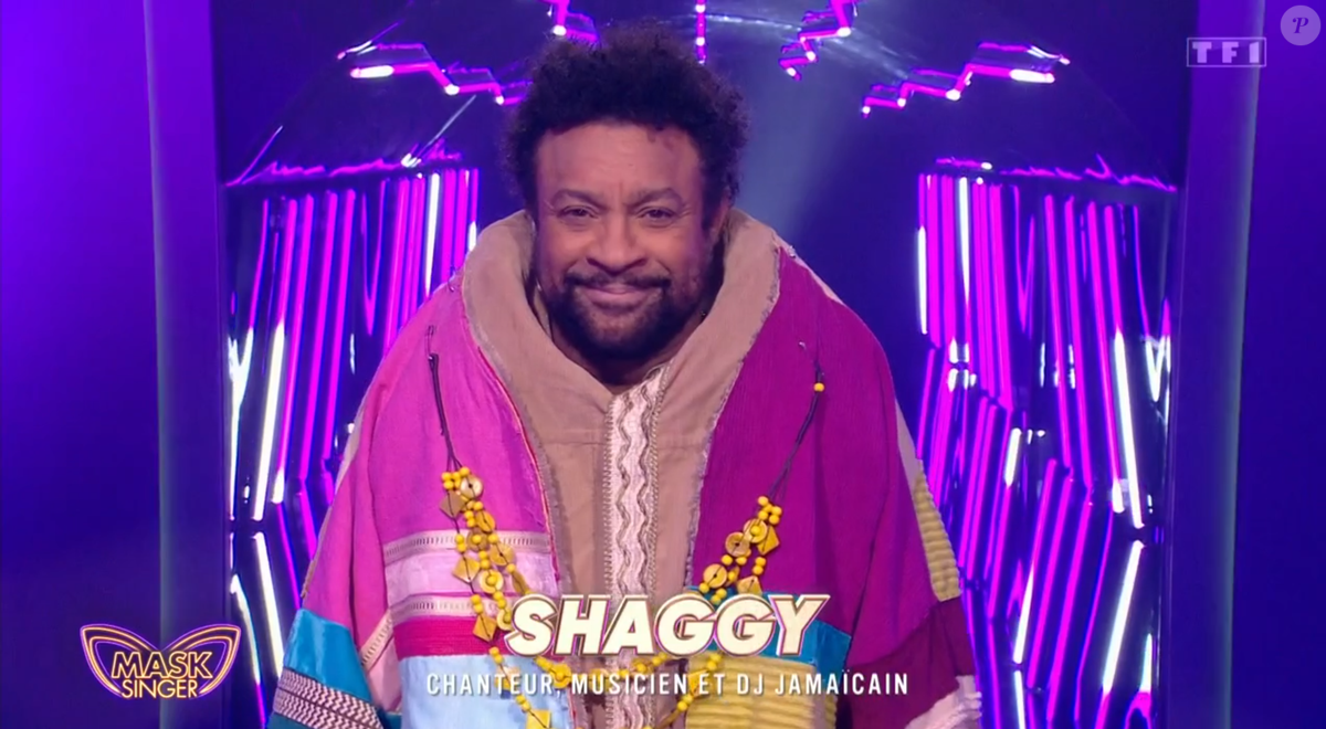 Photo : Il s'agit de Shaggy ! Le Cyborg dans Mask Singer est Shaggy ...