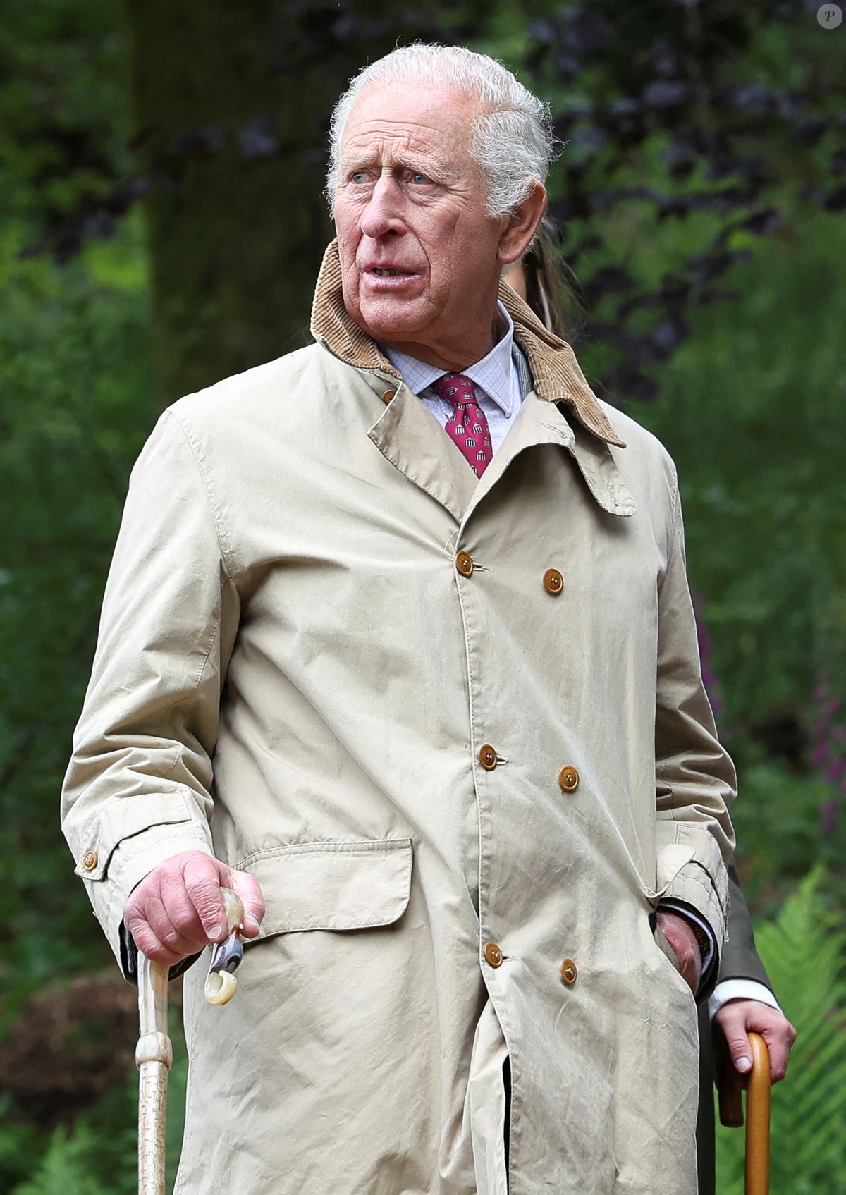Photo : Le roi Charles III d'Angleterre, Whitewell Coronation Woodland ...