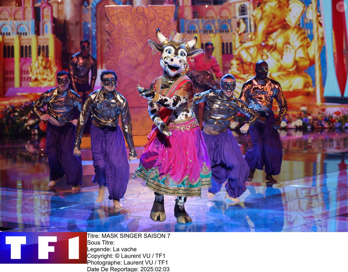 Photo : Le Vache dans la saison 7 de "Mask Singer" sur TF1 © Laurent VU ...