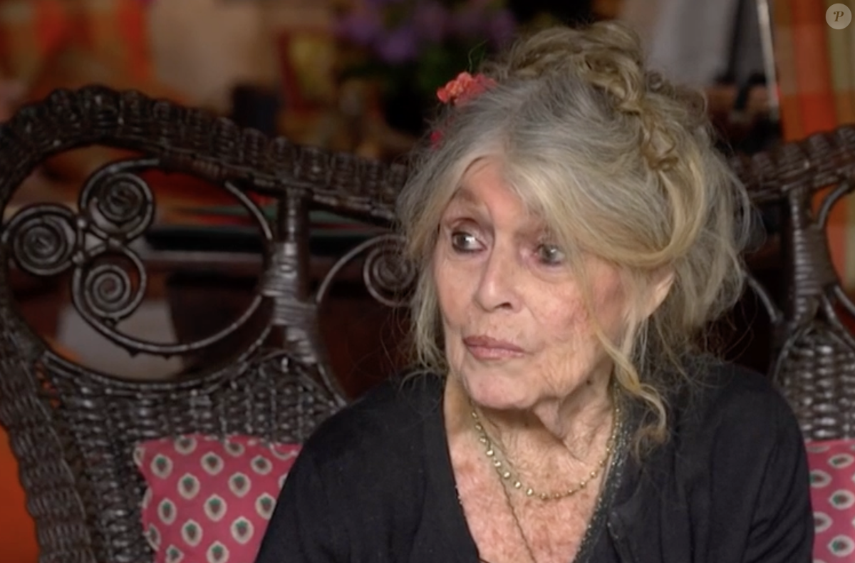 Vidéo : Extrait vidéo de l'interview "BFMTV" avec Brigitte Bardot. - Purepeople