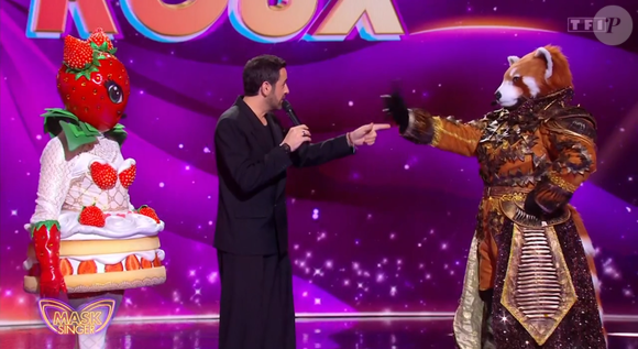 Mask Singer 2025 : C'est une fin d'aventure pour le Panda Roux, il s ...