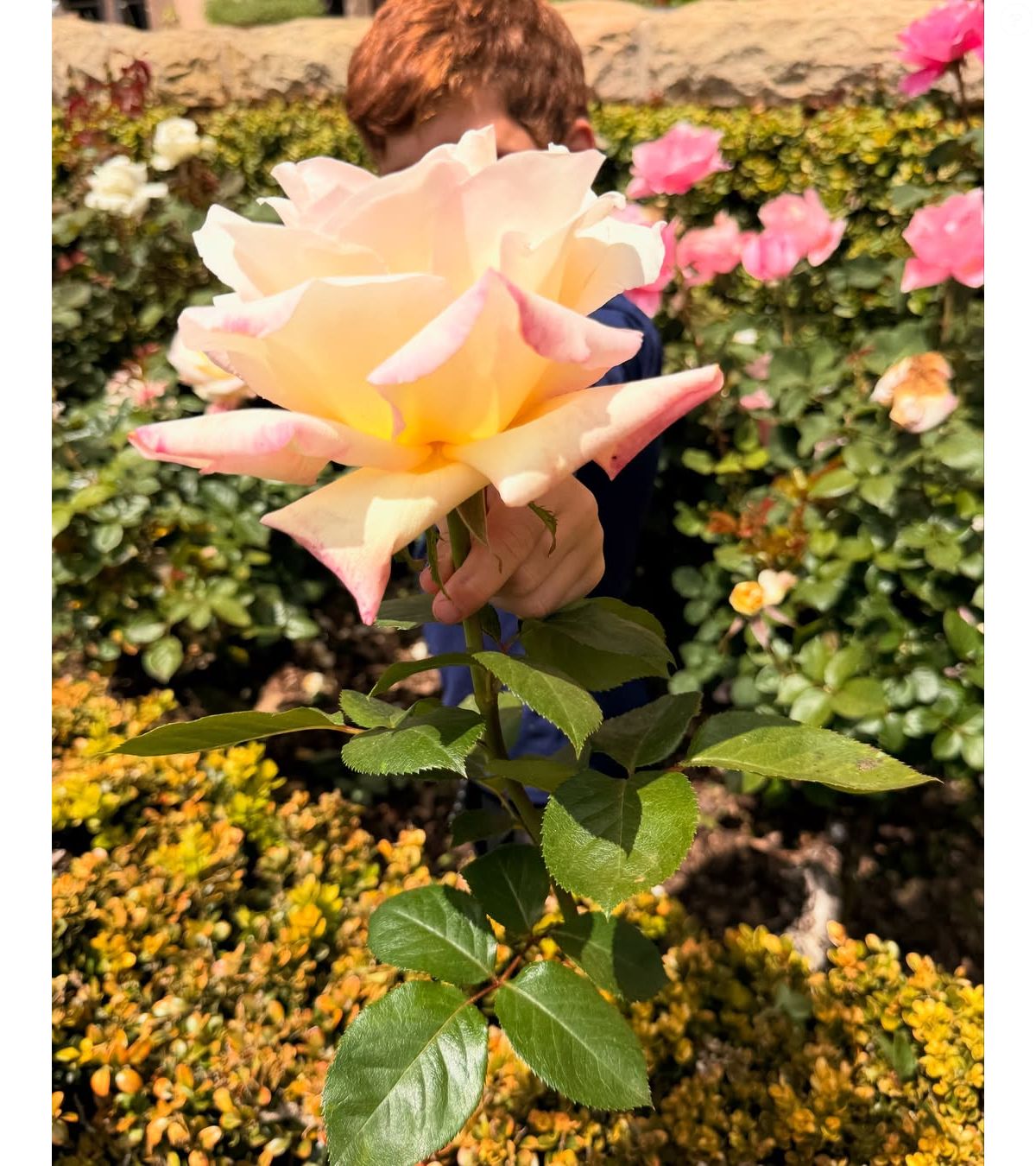 Photo : Le prince Harry et Meghan Markle protègent leurs enfants ...