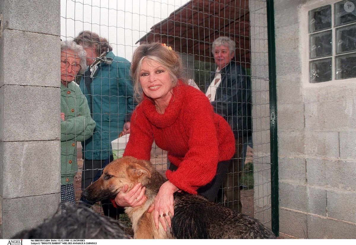Photo : Dans cette même déclaration, Brigitte Bardot réaffirme sa ...