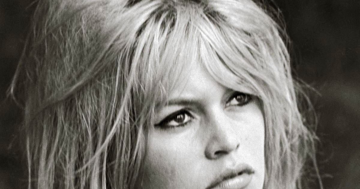 Brigitte Bardot : Un ex-journaliste de France 2 raconte son histoire ...