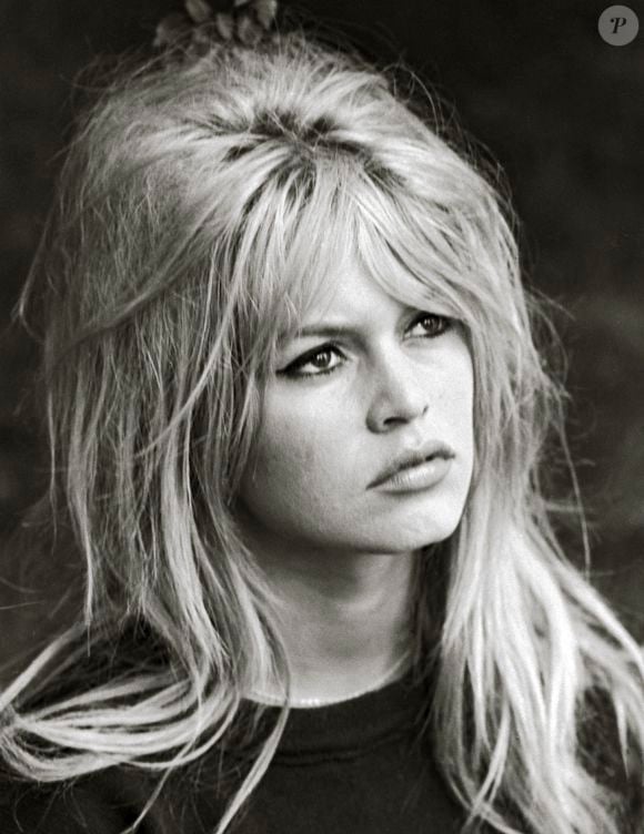 Brigitte Bardot : un amour secret révélé par un ancien journaliste, une ...